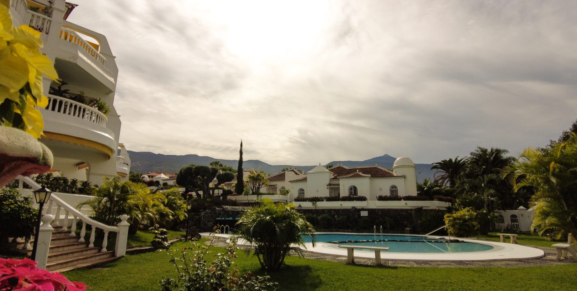 Home Seven - Collette Fisher